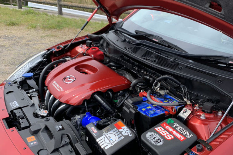 A mini logo sticker is being presented until 5/31! | AutoExe Mazda Car ...